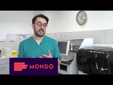 Begić: Kao društvo, svi smo se opustili | Info | Društvo