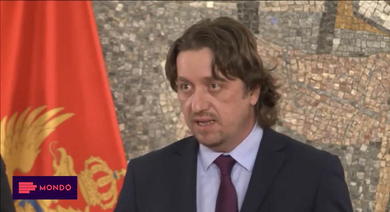 SEKULOVIĆ: CILJ DEŠAVANJA U TUZIMA BIO JE DA VLADU PRIKAŽU KAO ...