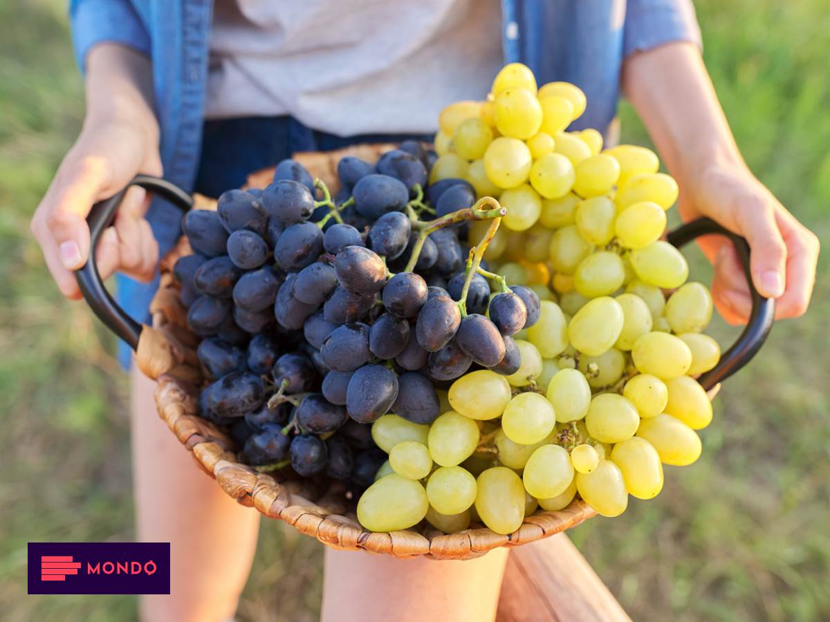 crno bijelo grozdje koje je zdravije | Magazin | Lifestyle