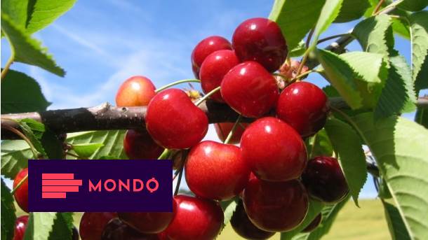 Ko treba da jede trešnje | Magazin | Lifestyle