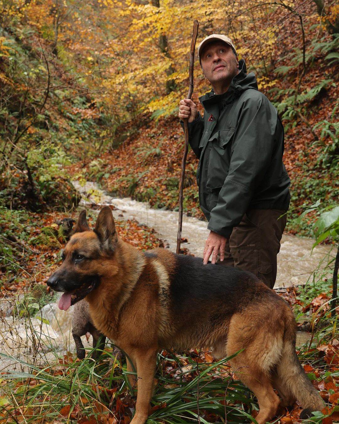 jovan memedovic o tome kako je pogledao smrti u oci | Magazin ...