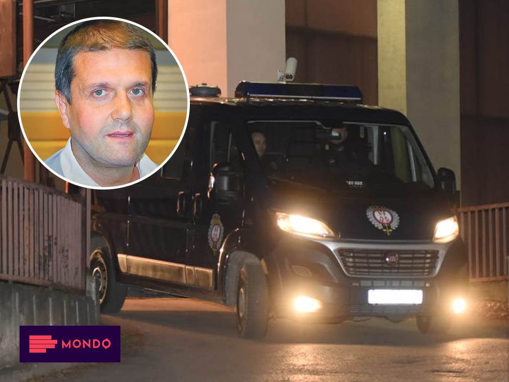 darko saric imovina i bogatstvo | Info | Crna hronika