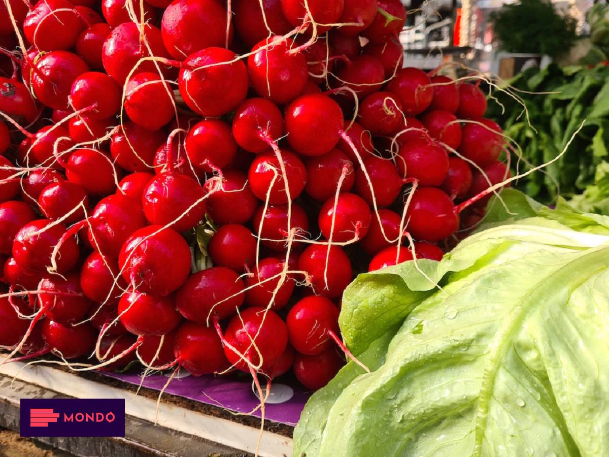 Rotkvice uticu na rad stitne zlijezde | Magazin | Lifestyle