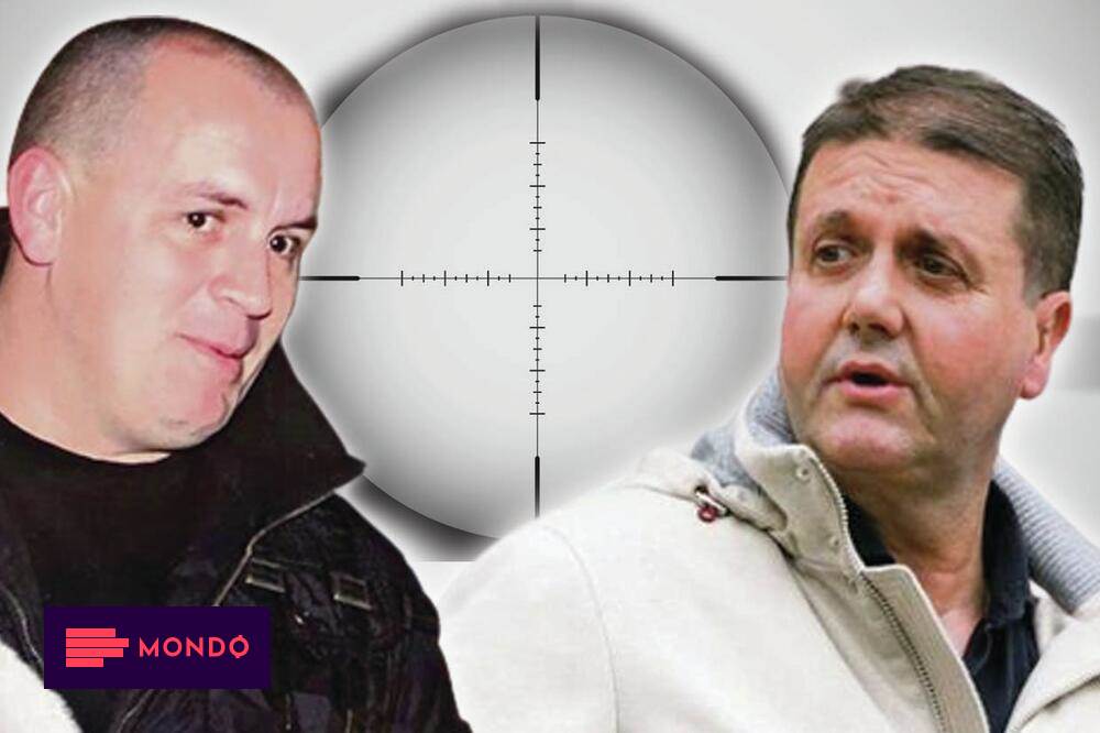 Darko Šarić svjedok saradnik | Info | Crna hronika