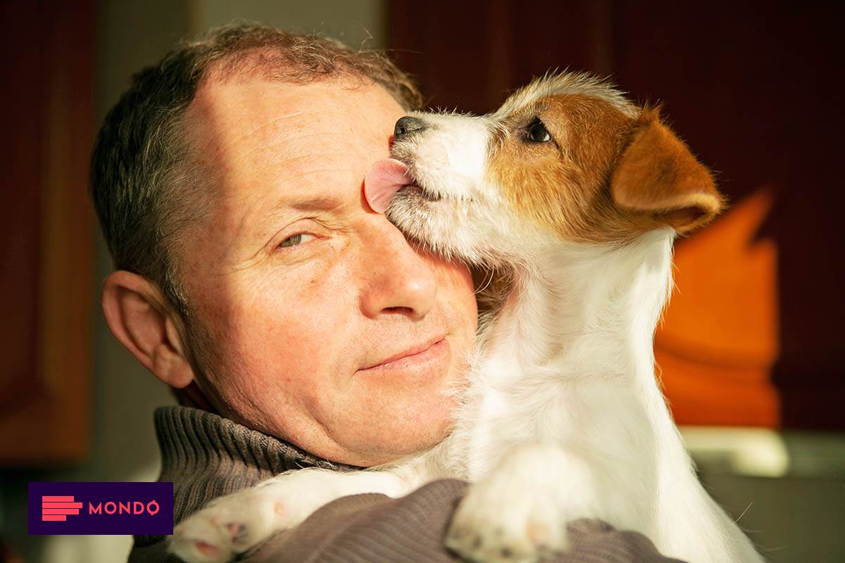 pas ga je lizao na istom mjestu rak | Magazin | Lifestyle