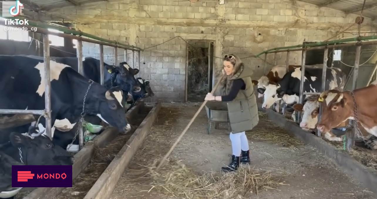 mondo tik tok | Magazin | Showtime