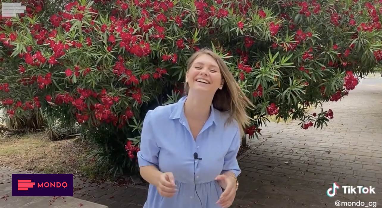 tik tok mondo | Magazin | Showtime