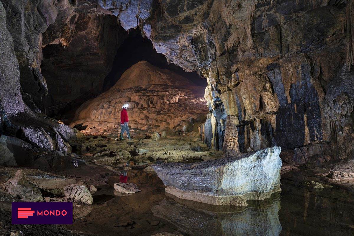 Kolonija koja fascinira naučnike: Više od 111.000 jedinki u mračnoj ...