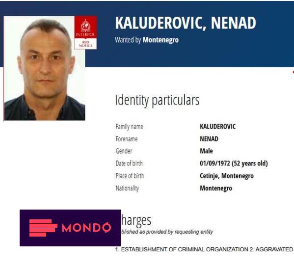 Raspisana međunarodna crvena potjernica za cetinjaninom Nenadom ...