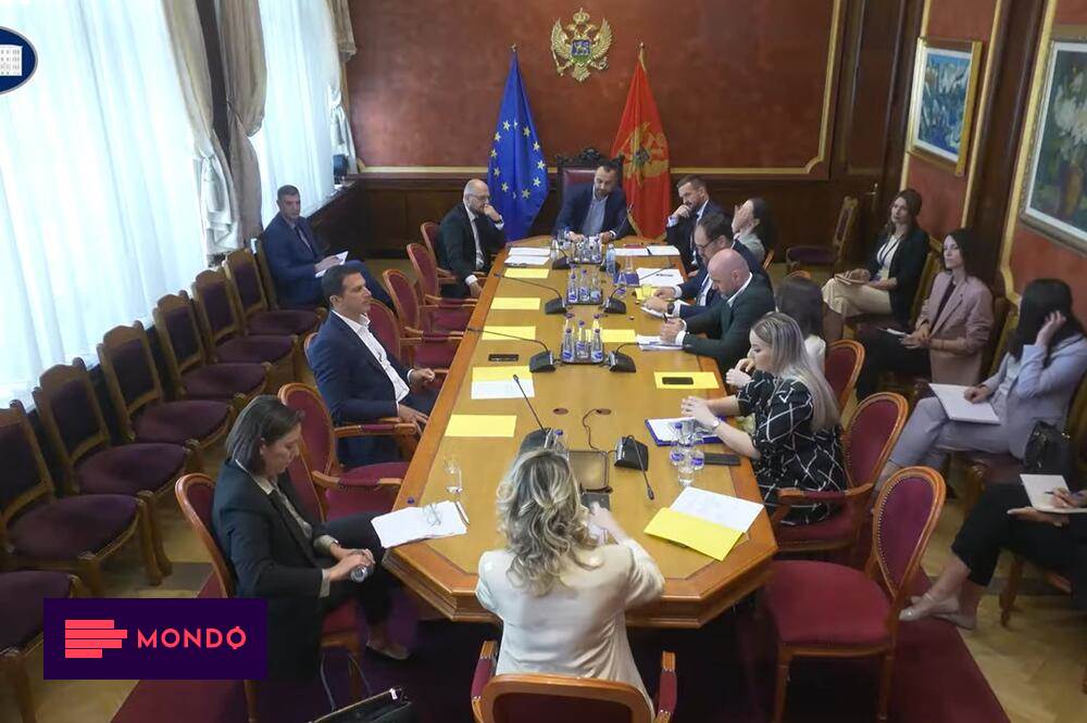 Lalović i Lakić Barfus dobile su zeleno svijetlo da postanu ambasadorke ...